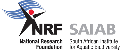 Synology Drive | Uw privécloud voor het beheren en delen van bestanden ...