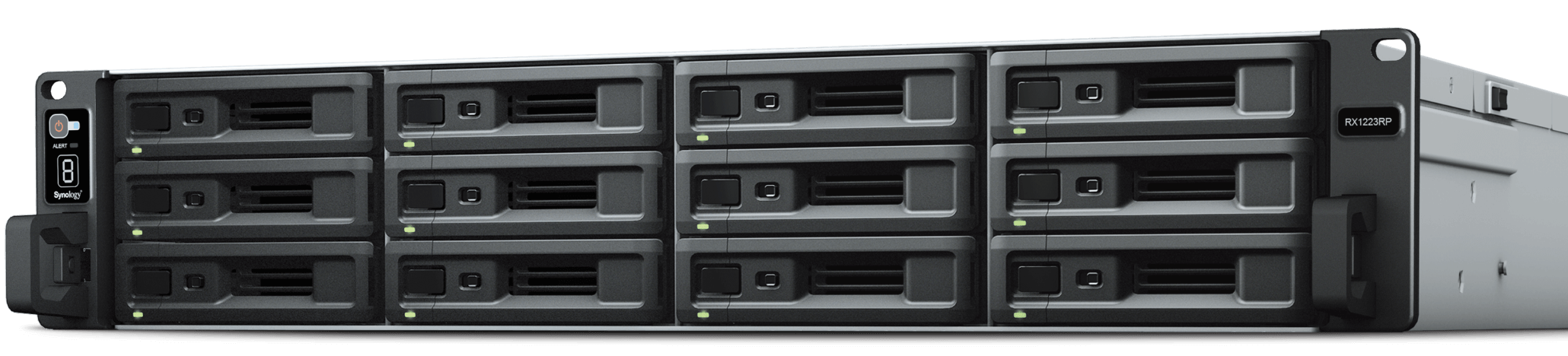 RX1223RP | Synology Inc.